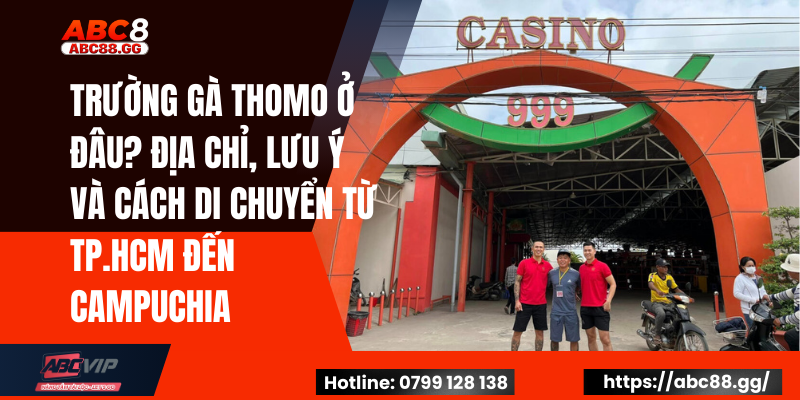 Trường Gà Thomo Ở Đâu? Lưu Ý Và Đường Đi Từ TP. HCM